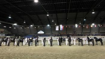 New set-up Central Mare Inspection - Fhana