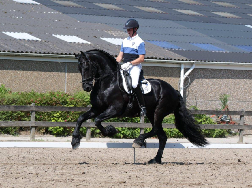 Julius 486 Sport - Fhana