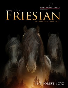 The Friesian Magazine - Fhana