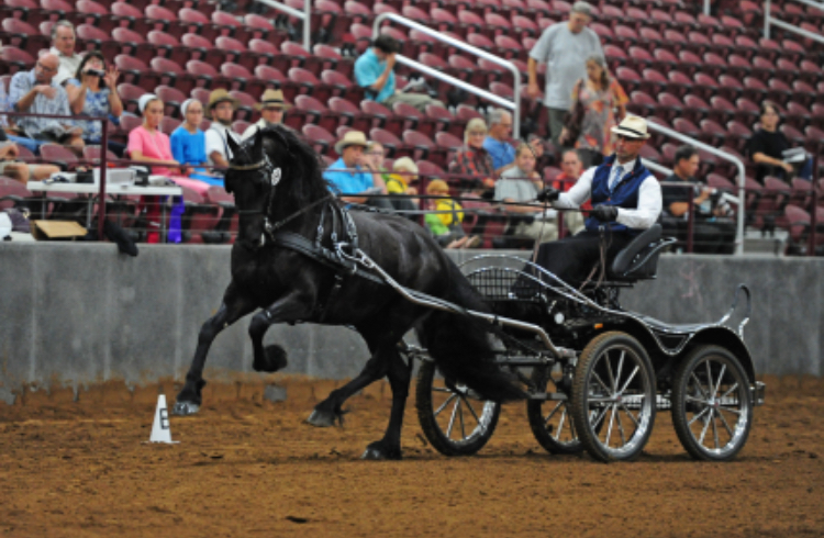 New IBOP starting January the 1st, riding and driving remain the same ...