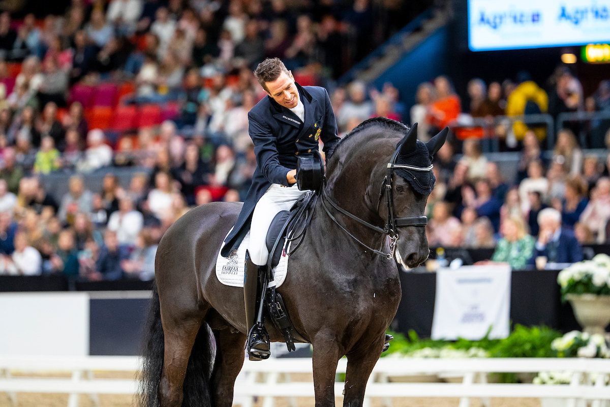 Friesian breed finally recognized as sport horse by WBFSH - Fhana