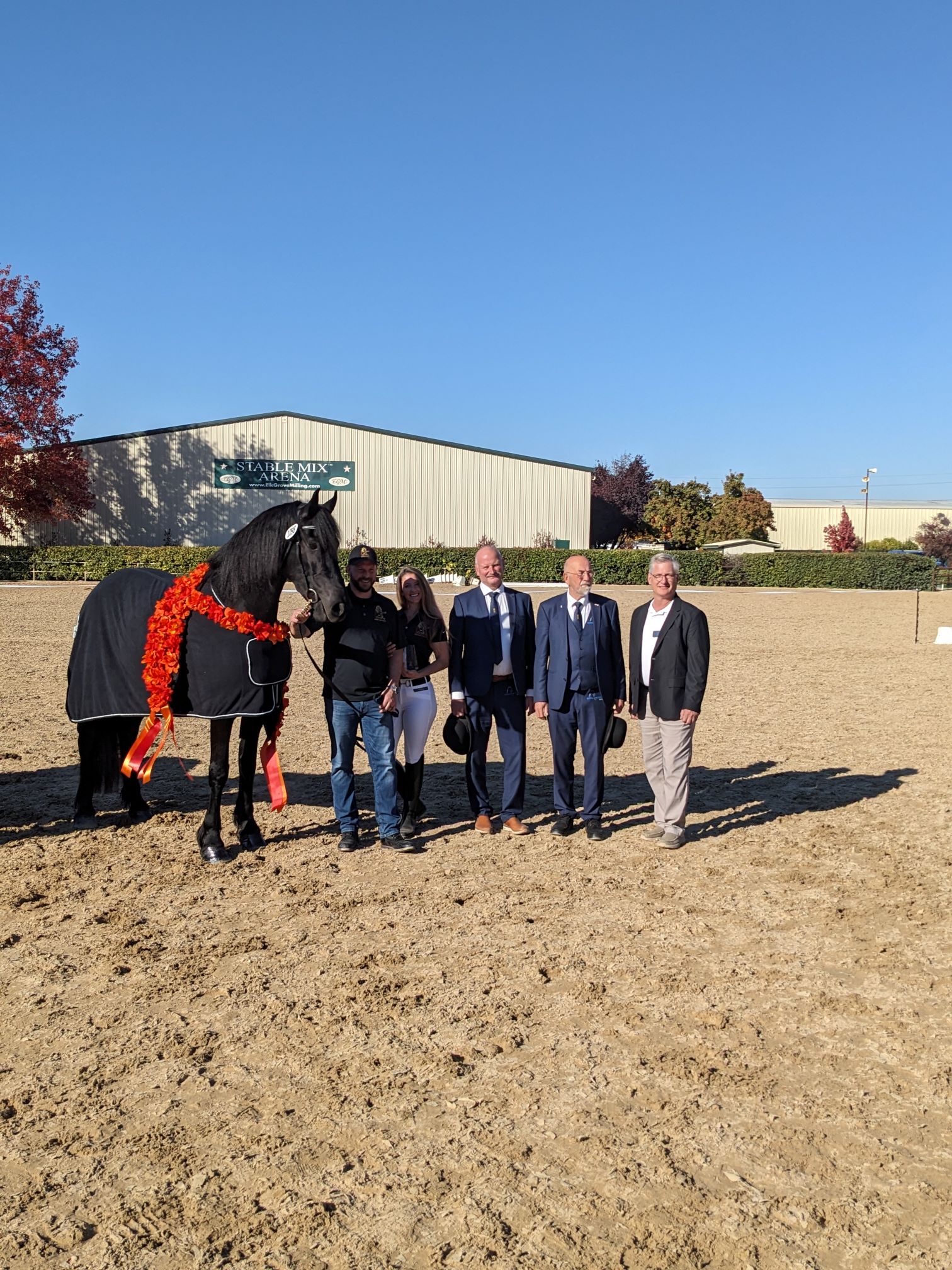 2023 Mare Show West Results - Fhana