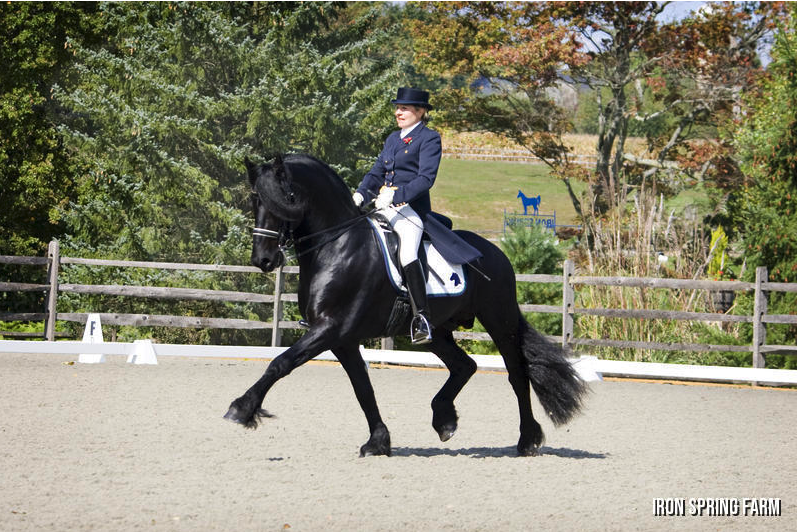Iron Spring Farm Says Goodbye to Brend 413, Sport - Fhana