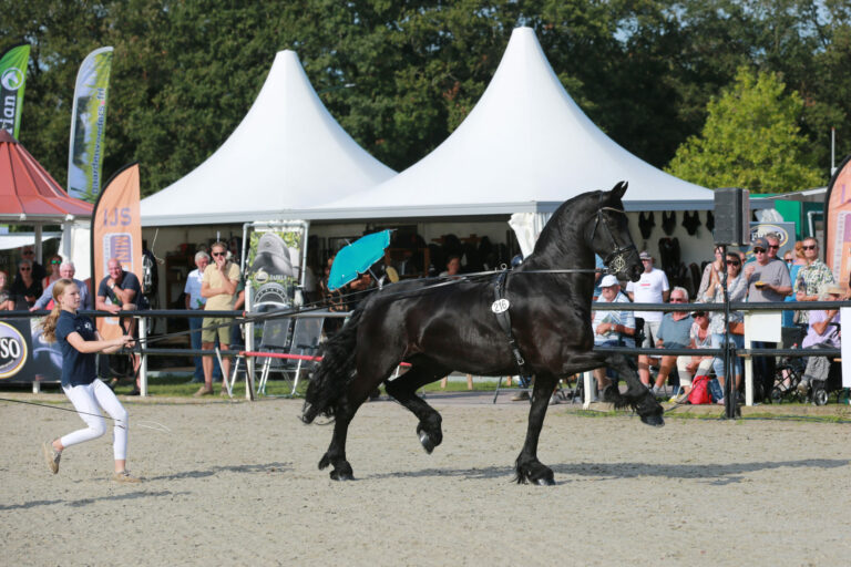 Alwin 469 and Omer 493 half-sisters top the list of breeding values for ...